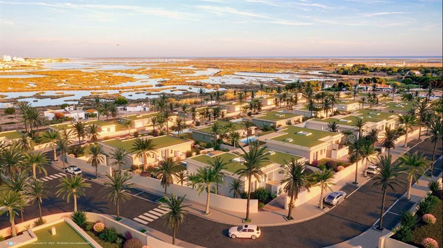Why Faro is a breath of fresh air